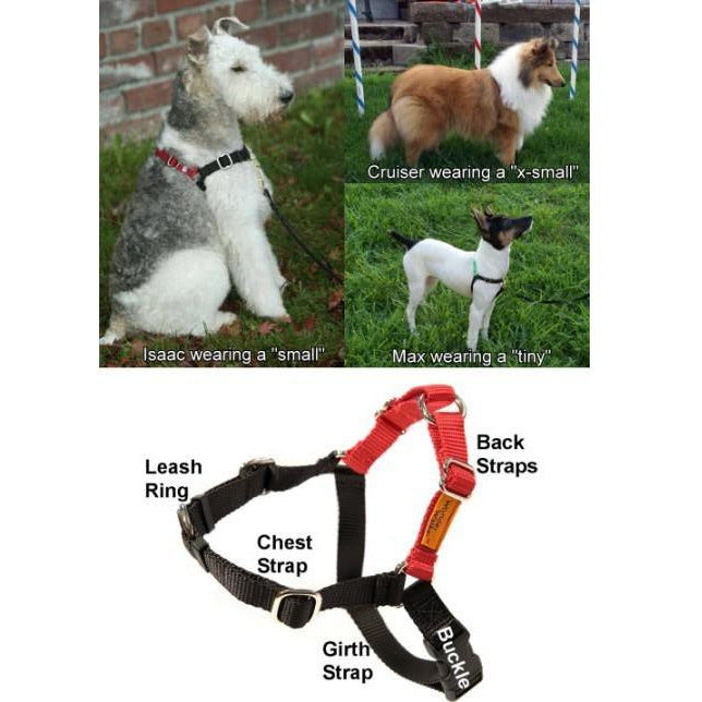 Wonder Walker - Body Harness - Dog Harness | King Duke's, Beaverton
