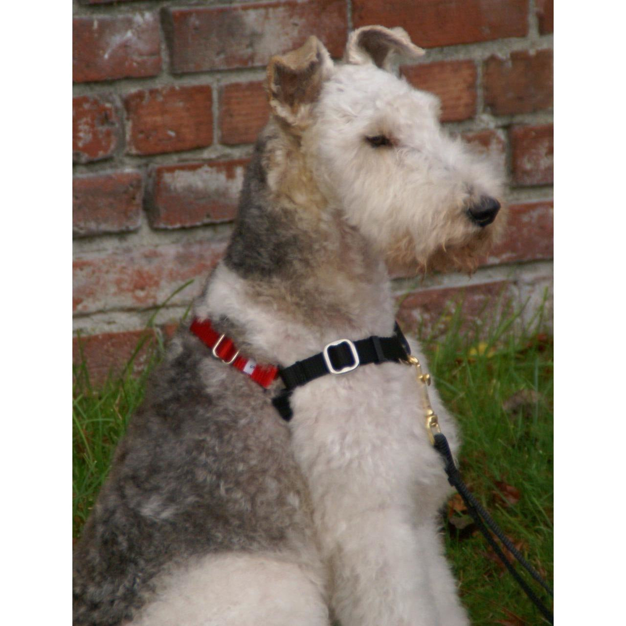 Wonder Walker - Body Harness - Dog Harness | King Duke's, Beaverton