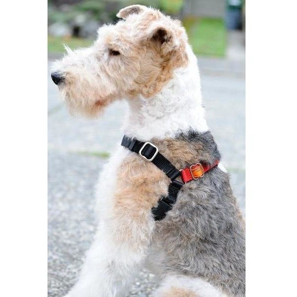 Wonder Walker - Body Harness - Dog Harness | King Duke's, Beaverton